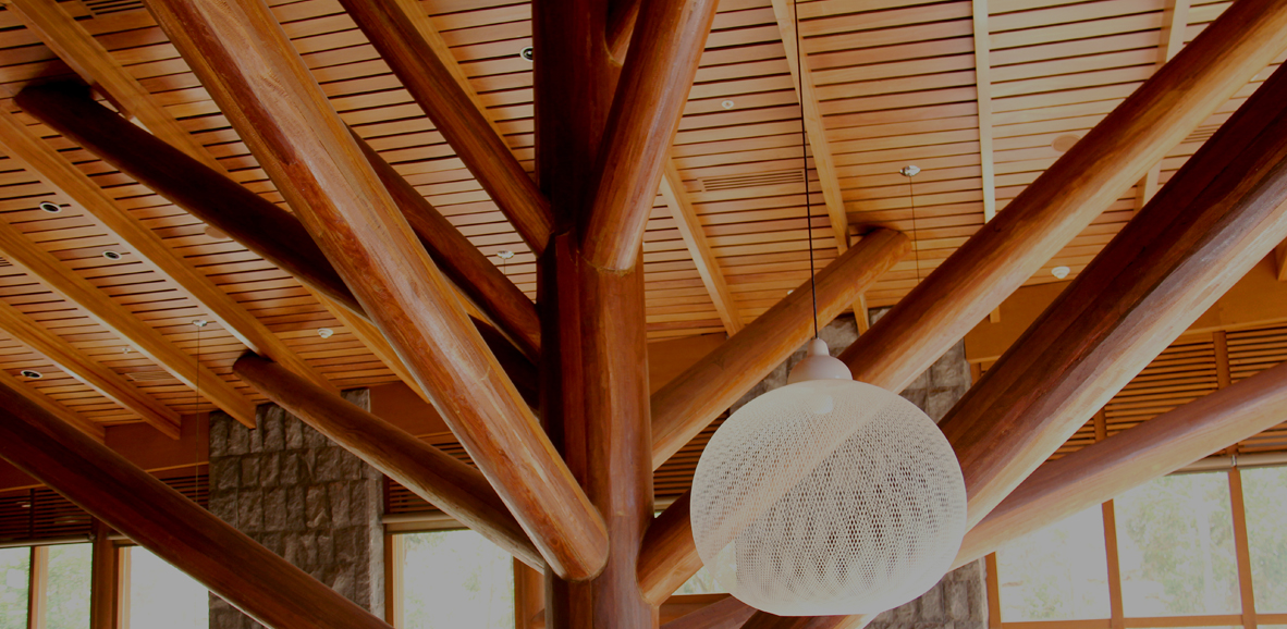 Nuestra madera | Maderera Bozovich – Drago Bozovich CEO, produccion y ...